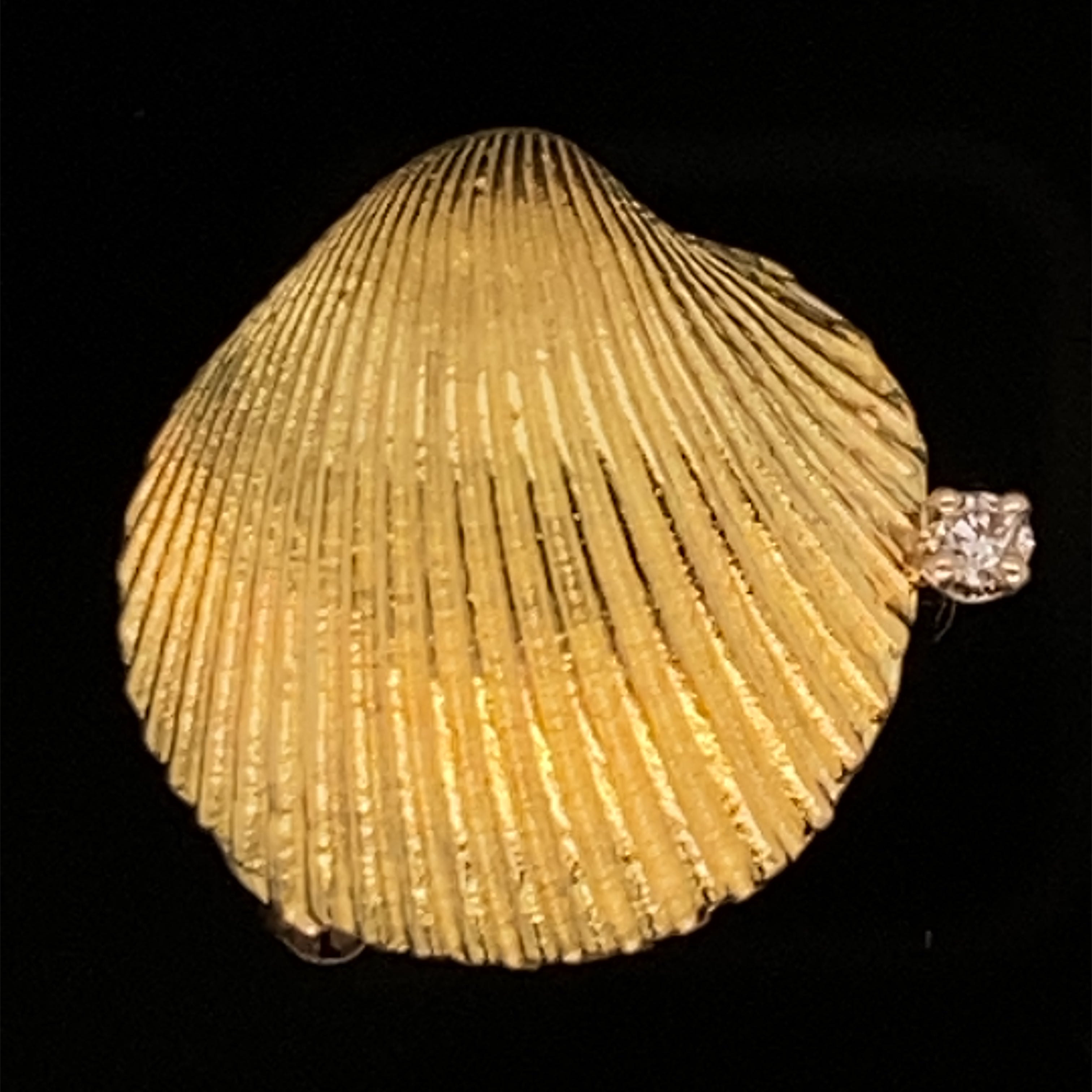 Seashell, small Cockle Shell with One Diamond – 18K Gold Animal Pins ...