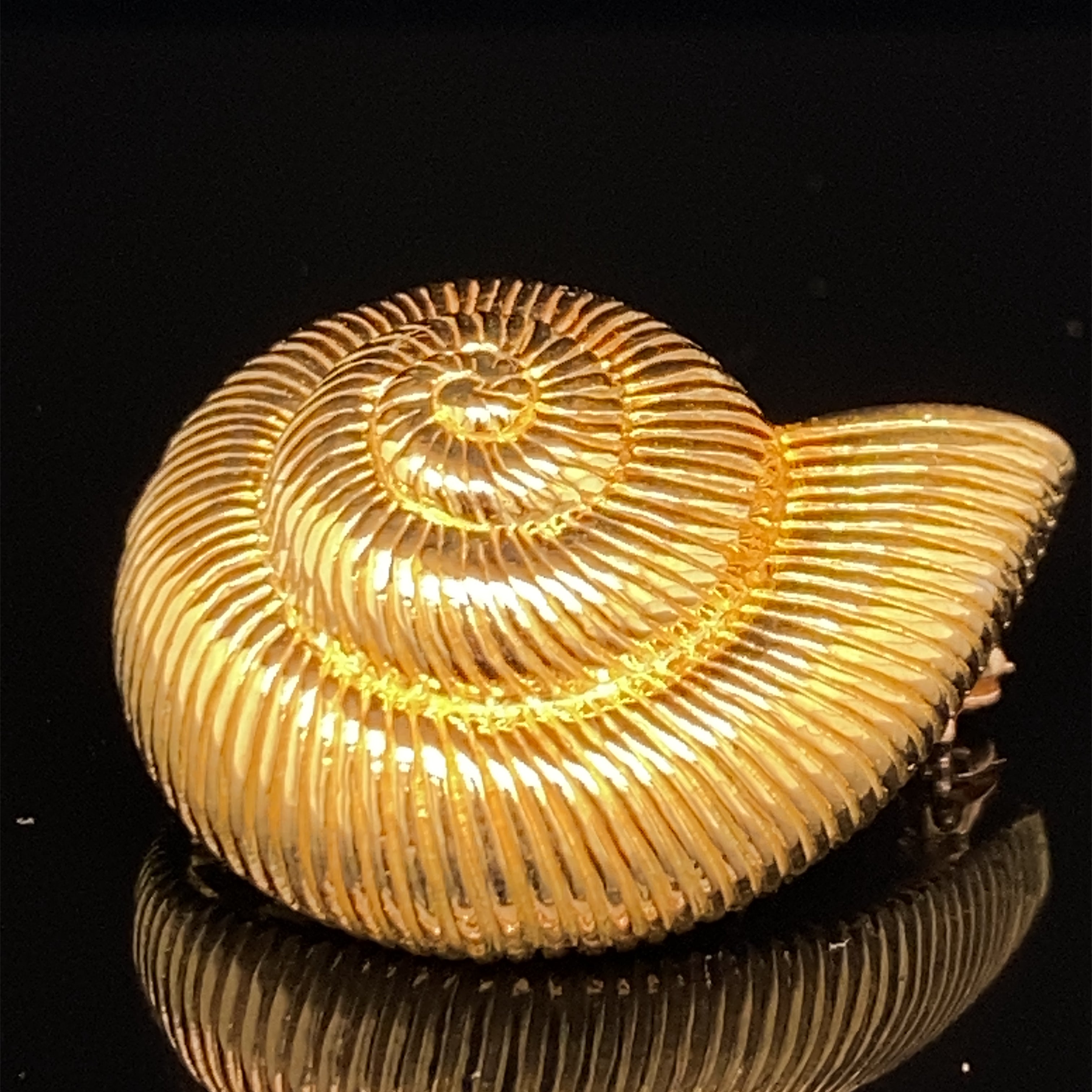 Seashell, Snail Shell – 18K Gold Animal Pins/Brooches